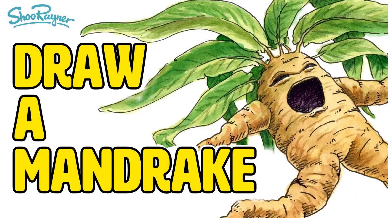How To Draw A Screaming Mandrake Harry Potter Youtube