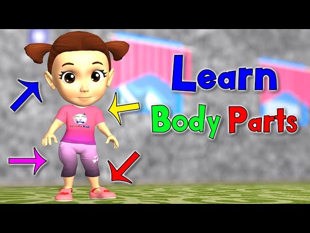 Let S Learn About Body Parts Noodle Kidz Preschool Learning Video