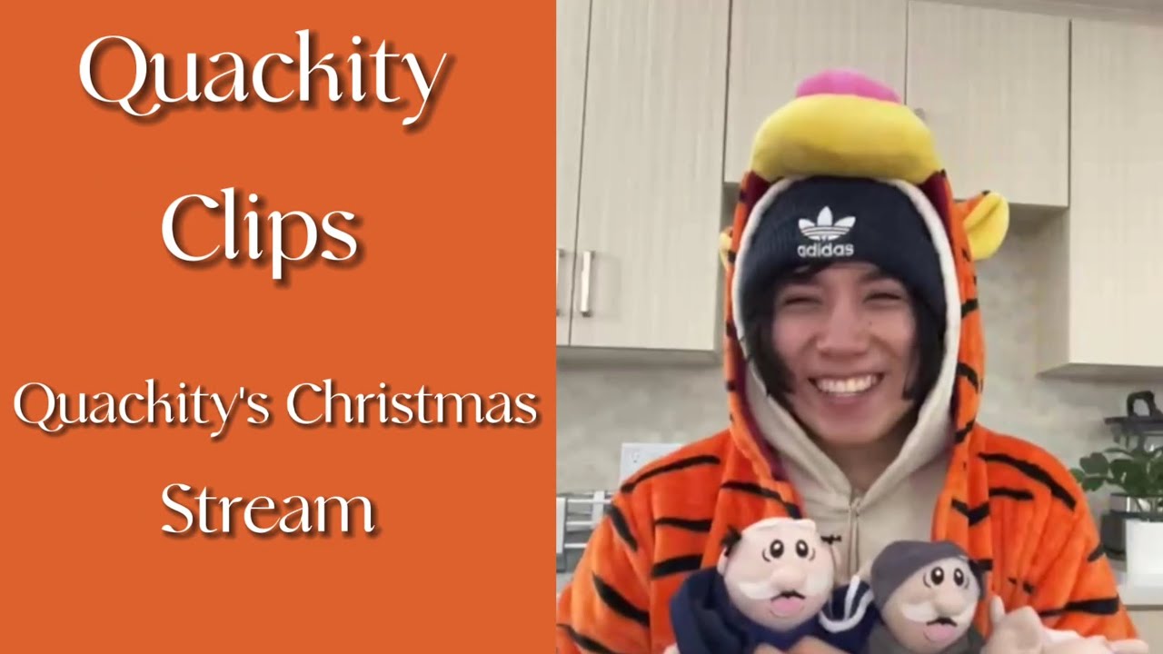 Quackity Clips Quackity S Christmas Stream Youtube