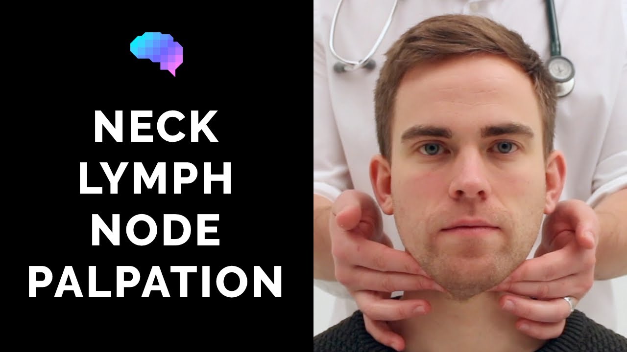 Head Neck Lymph Node Palpation Osce Guide Clip Ukmla Cpsa