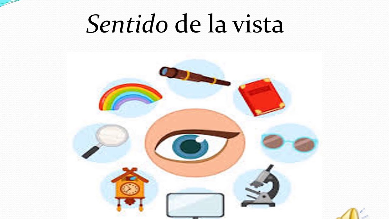 Los Sentidos Vista Youtube