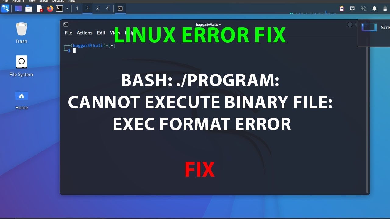 Linux Bash Program Cannot Execute Binary File Exec Format Error