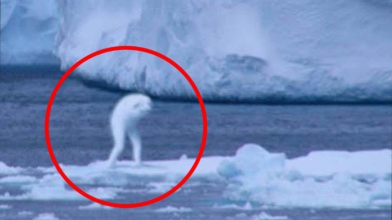 Extinct Animals Caught On Camera