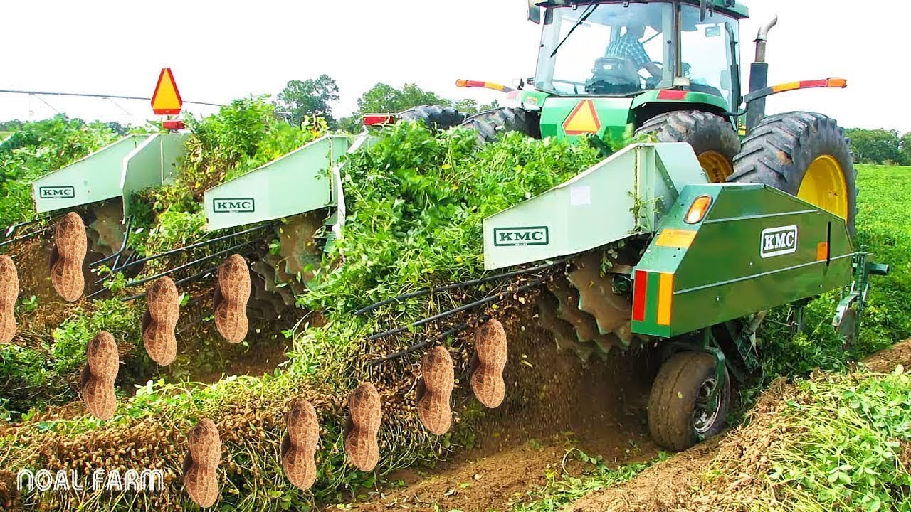 Peanut Harvesting Machine How To Harvest Peanut In Farm Modern