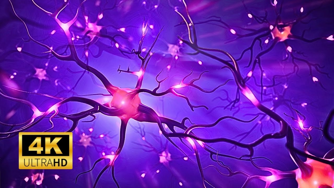 Neurons Nerves Explained In 3 Minutes Youtube Music