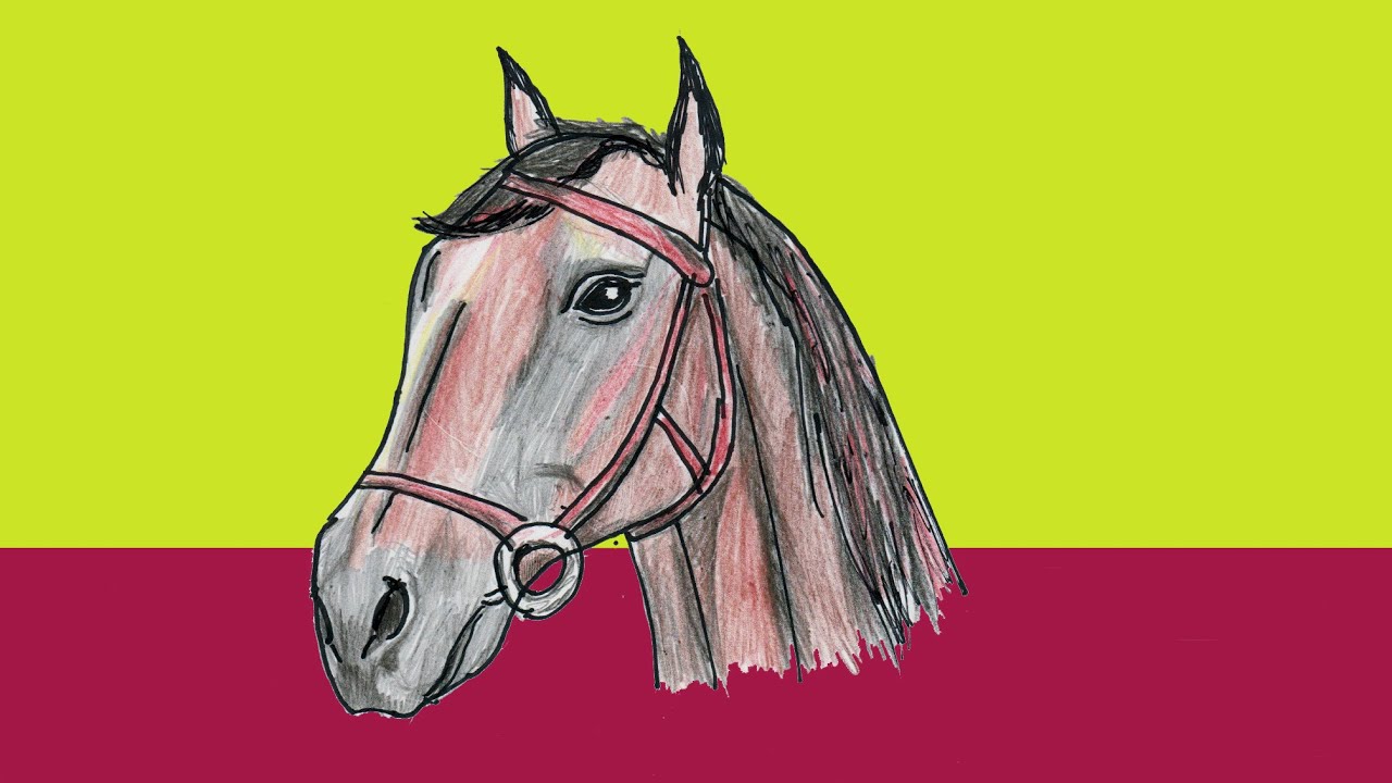 How To Draw A Horse Head Youtube