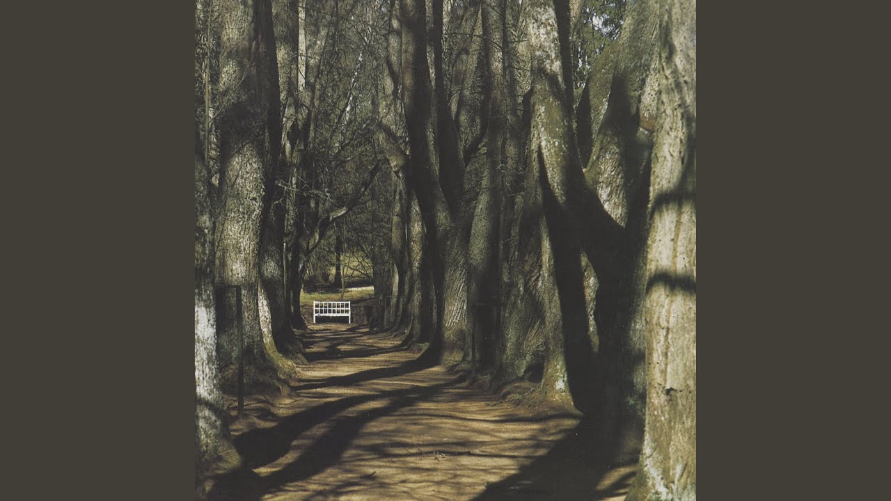 Unknown Youtube Music