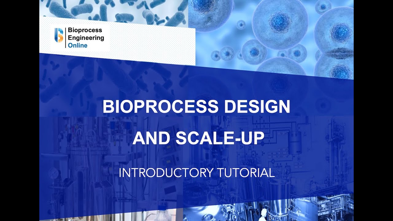 Bioprocess Design And Scale Up Youtube