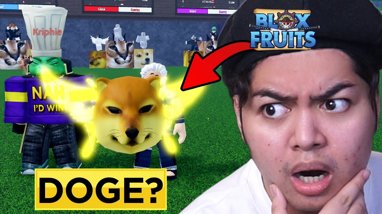 Blox Fruits New Update Dog Fruit Meme Sea Youtube