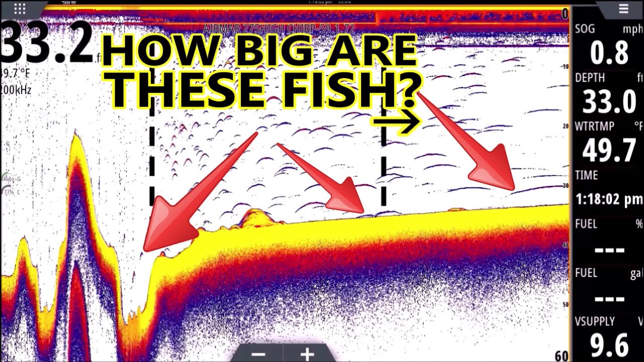 Sonar For Dummies Fish Finder Explained For Beginners L3 Youtube