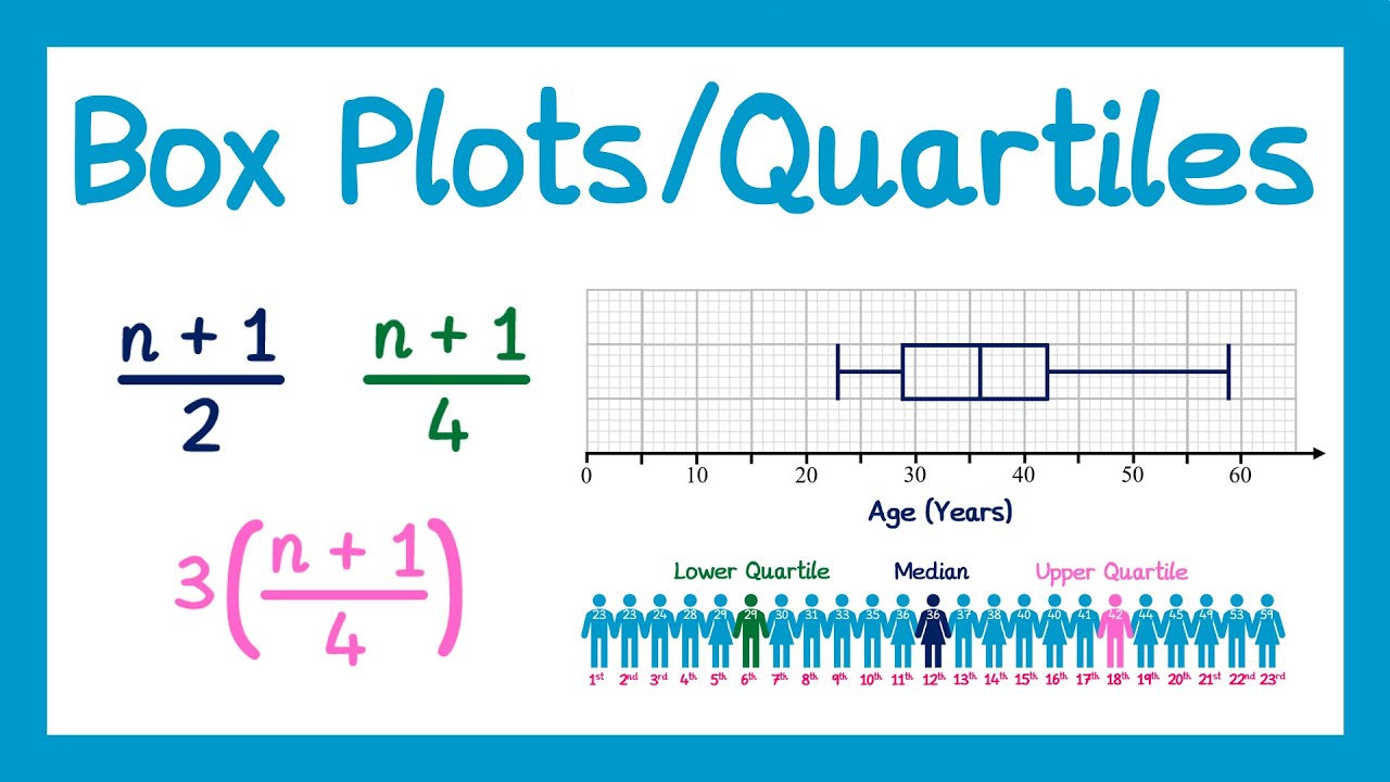 Whisker Box Plot Explained
