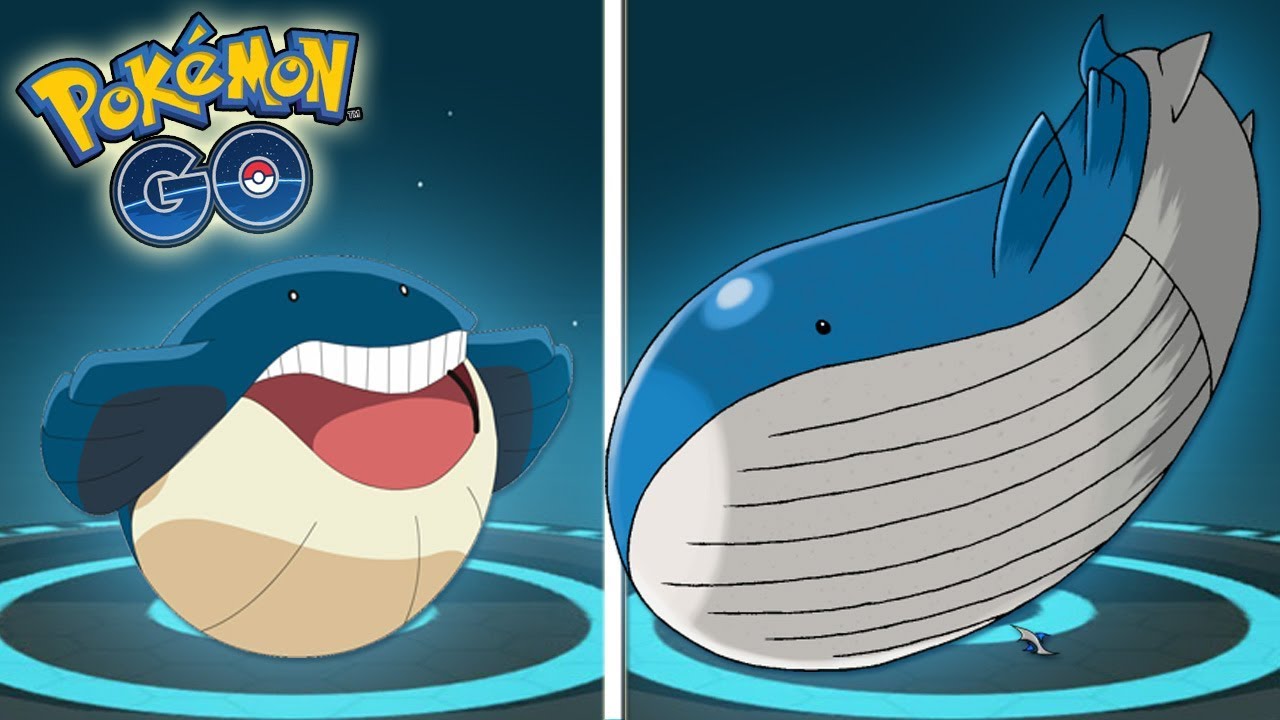 La Mejor Evolución De Wailmer A Wailord En Pokémon Go Keibron Youtube