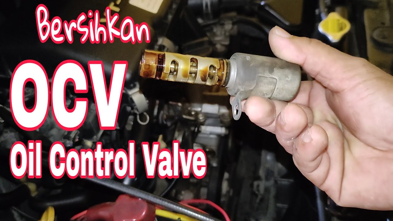 Oil Control Valve Ocv At Georgia Lai Blog