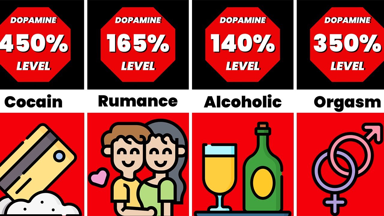 Comparison Human Pleasure Levels Dopamine Release Youtube