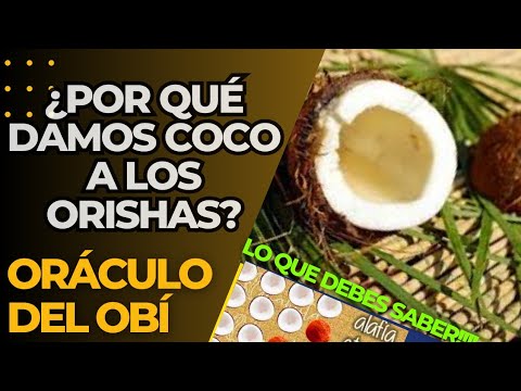 Obгќ A Los Santos Orгѓculos Del Obгќ Agbon Coco A Los Orishas рџґґ