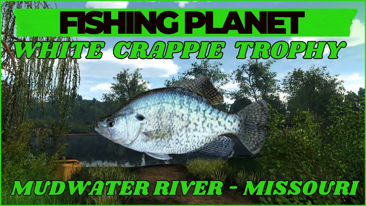 White Crappie Trophy Mudwater River Missouri Fishing Planet Youtube