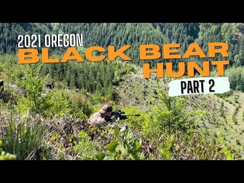 2021 Oregon Spring Bear Hunt Part 2 Youtube