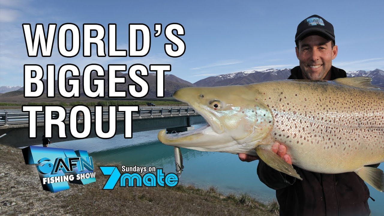 World S Biggest Trout Caught On Camera Youtube