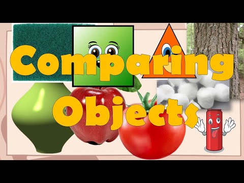Comparing Objects Powerpoint Slides Grade 1 Youtube