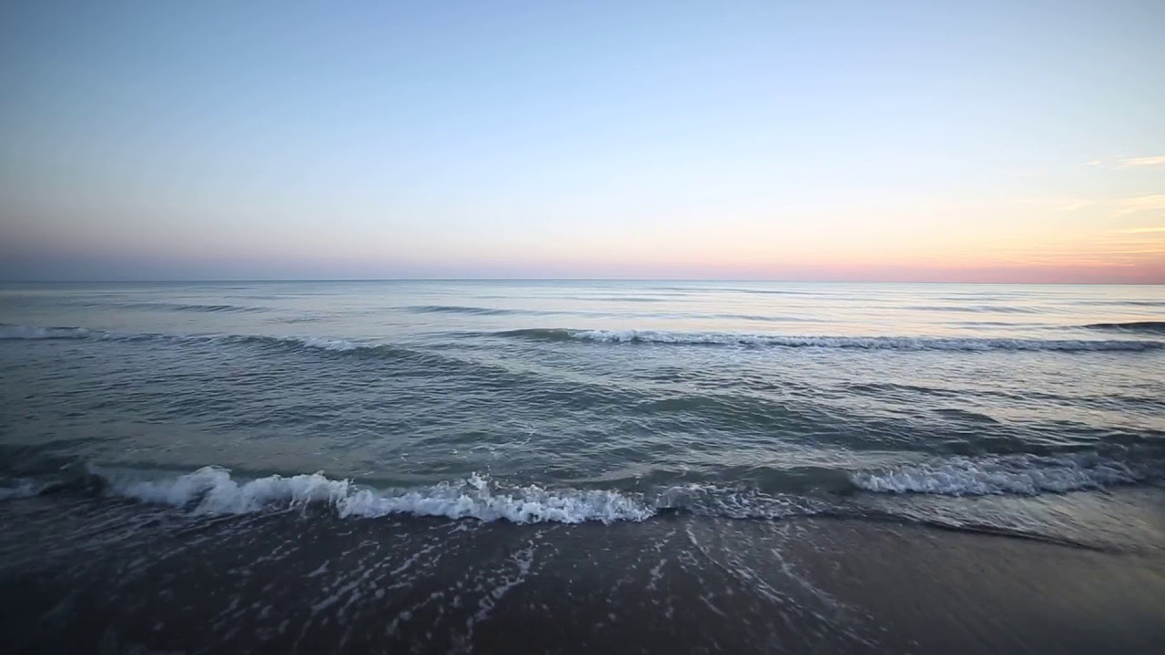 Opus No 1 Em Youtube Music