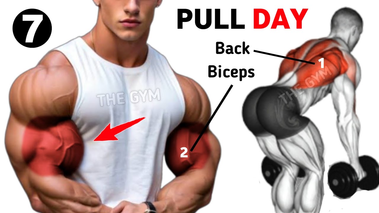 7 Perfect Pull Day Workout Back And Biceps Youtube