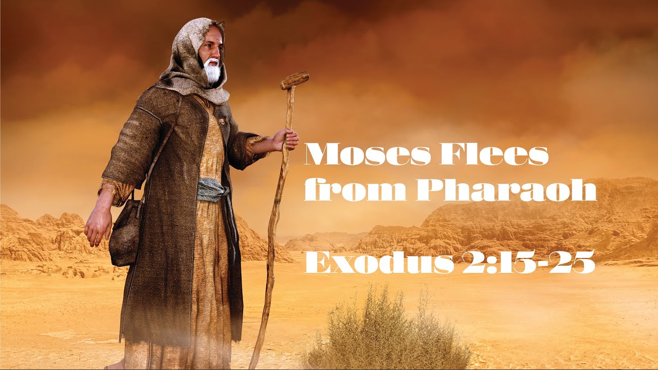 The Murderer Moses Flees To Midian Exodus 2 15 25exodus 2 15 25