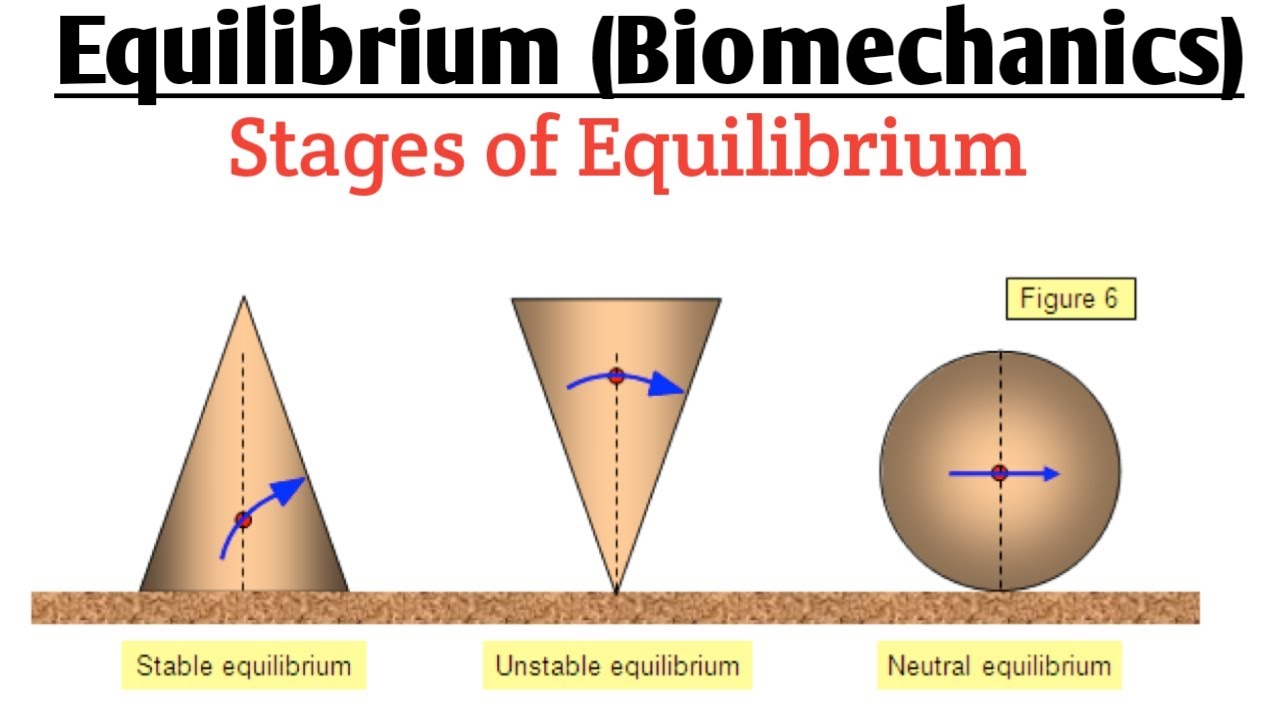 Equilibrium Biomechanics Youtube