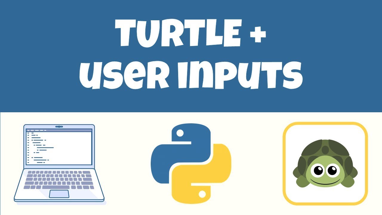 Python Turtle User Inputs Youtube