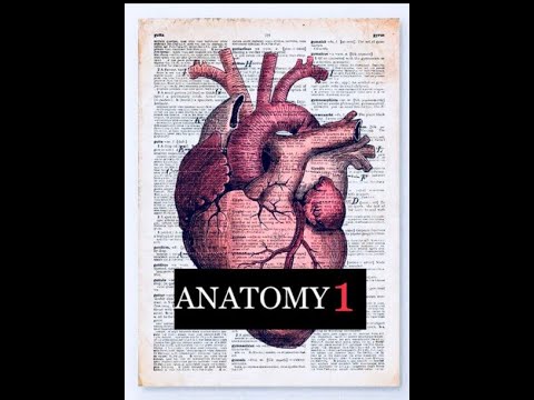 Anatomy Lecture 1 Youtube