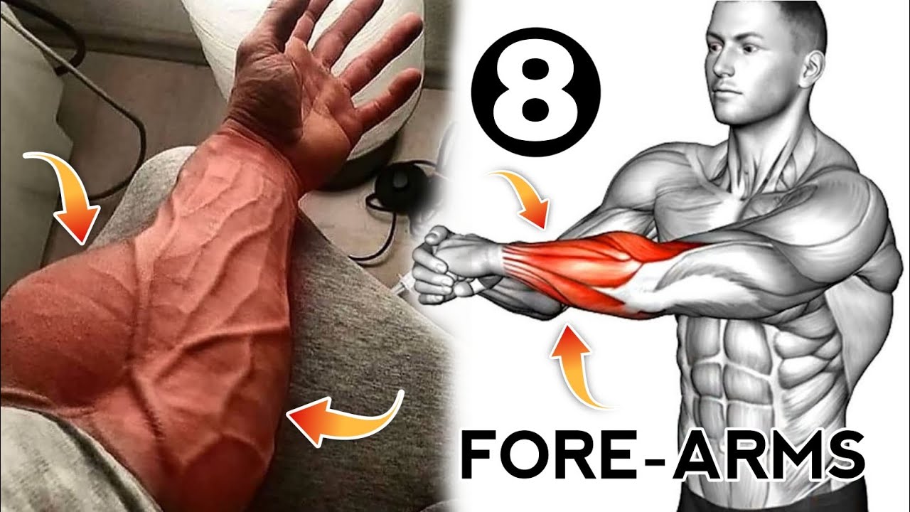 8 Best Forearms Exercises Routine Forearms Workout Youtube