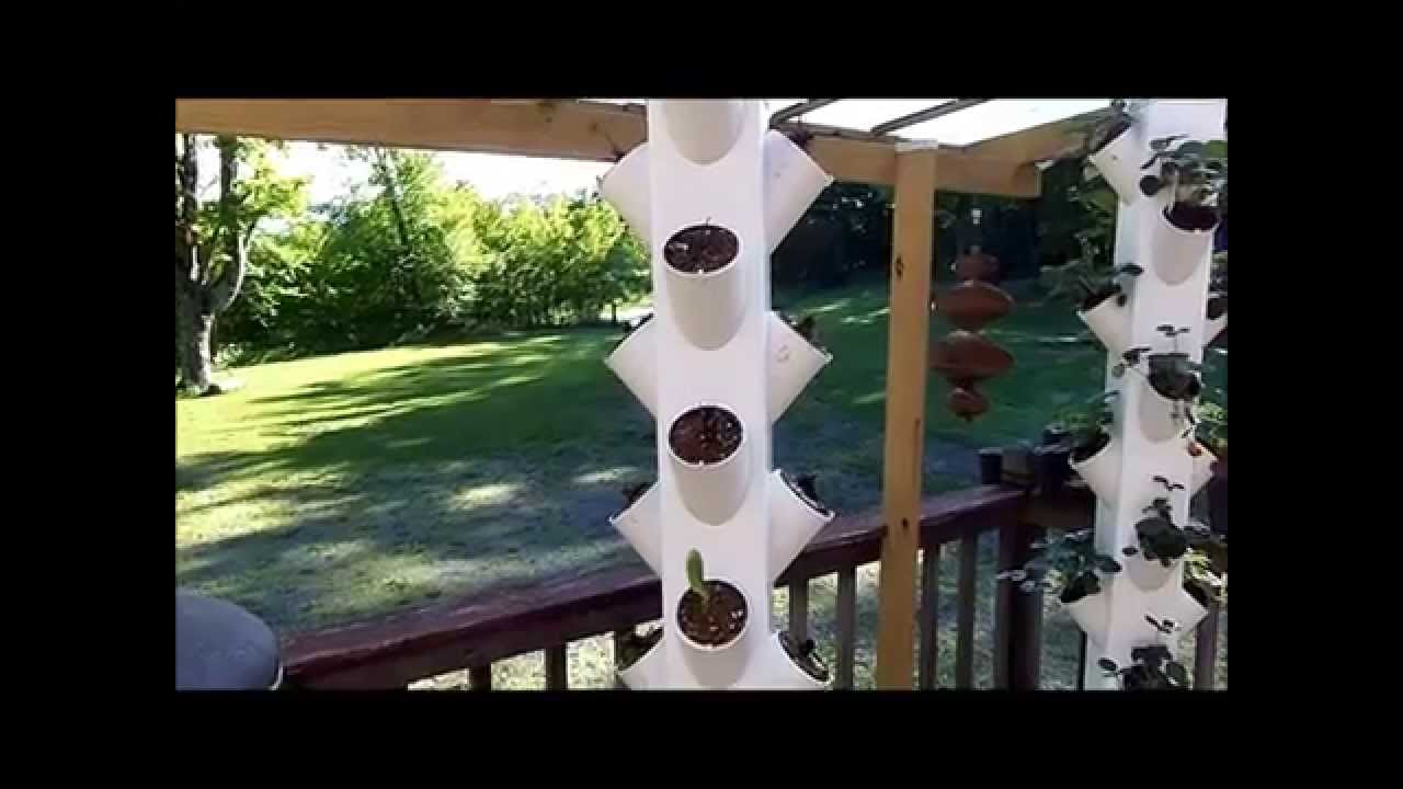 Build A Strawberry Tower Pvc Terracotta Strawberry Planter Grow Guide