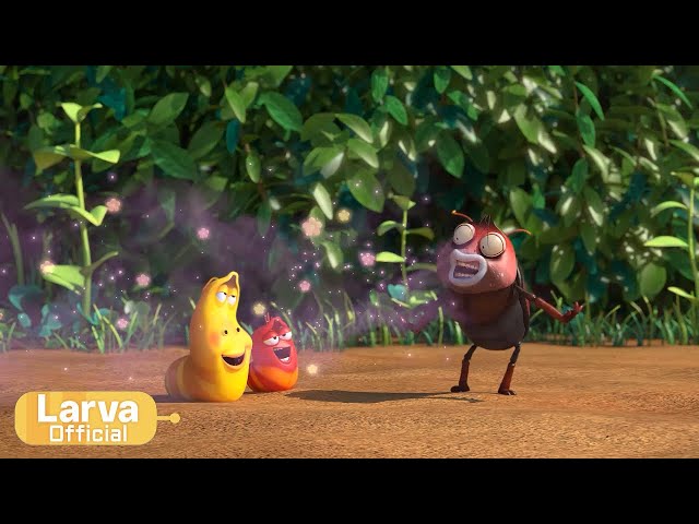 Smell Animation Compilation Larva Tuba Official Videos For Kids