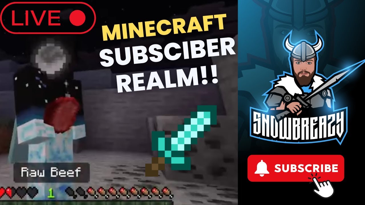 Minecraft With Subscribers Youtube