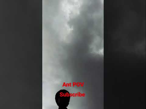 Ant Pov Ants Trending Viral Blowthisup Shorts Youtube