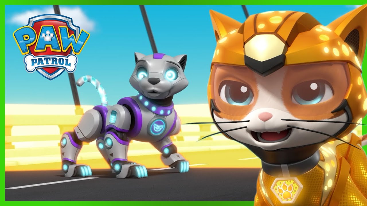 The Pups Meet The Cat Pack Paw Patrol Episode Cartoons For Kids