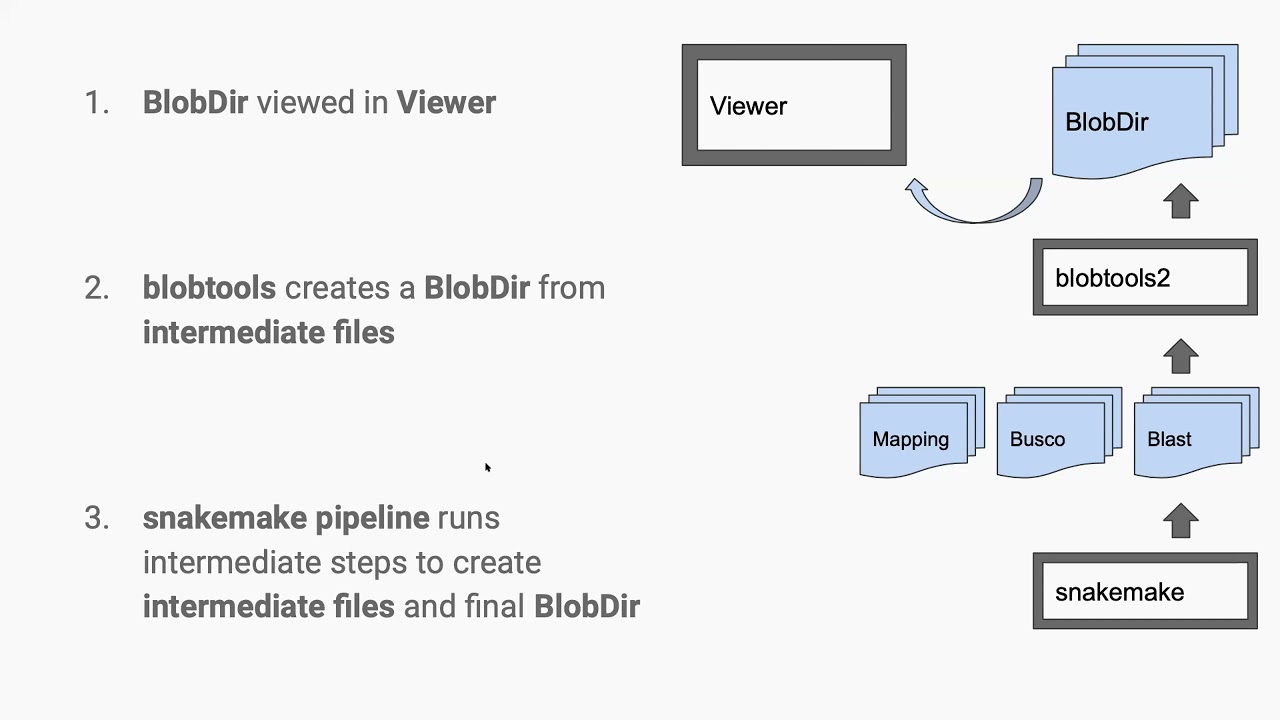 2021 04 28 Blobtoolkit Pipeline Tutorial Youtube
