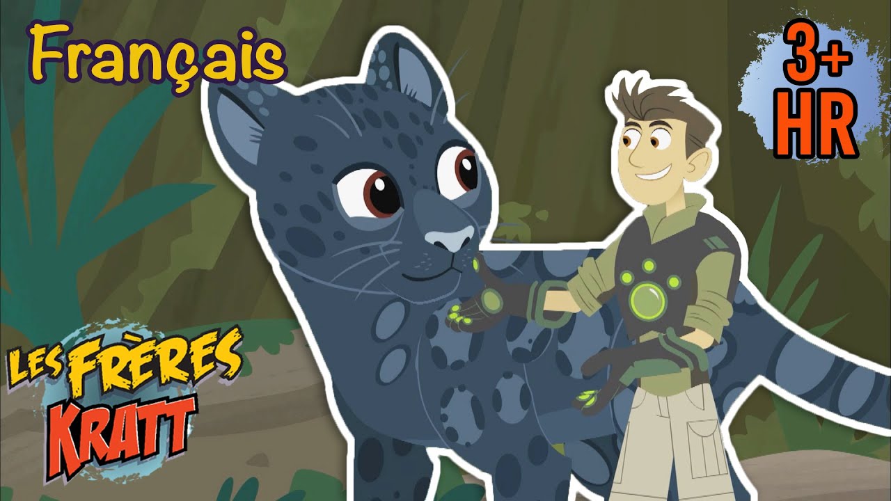 La Rare Jaguar Noire épisodes Complets Les Frères Kratt Youtube