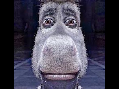 Test Youtube