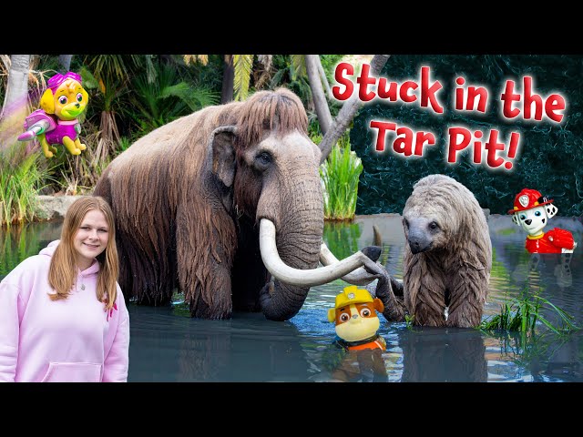 Assistant Searches For Marshall And Learns About The Labrea Tar Pits