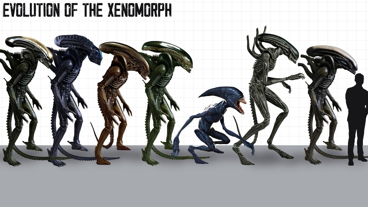 Evolution Of Xenomorph All Alien Movies In Order How To Watch