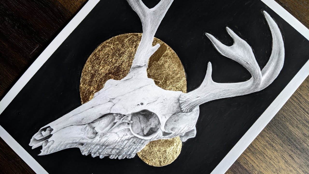 Deer Skull Drawing Timelapse What Inspired Me Youtube