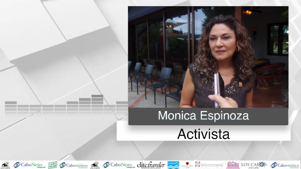 Entrevista En Video Con Mónica Espinoza Activista Youtube