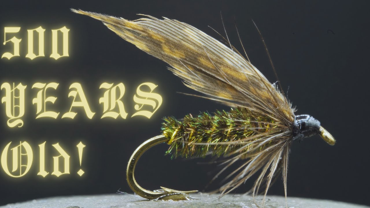 504 Year Old Fly Still Catches Fish Youtube