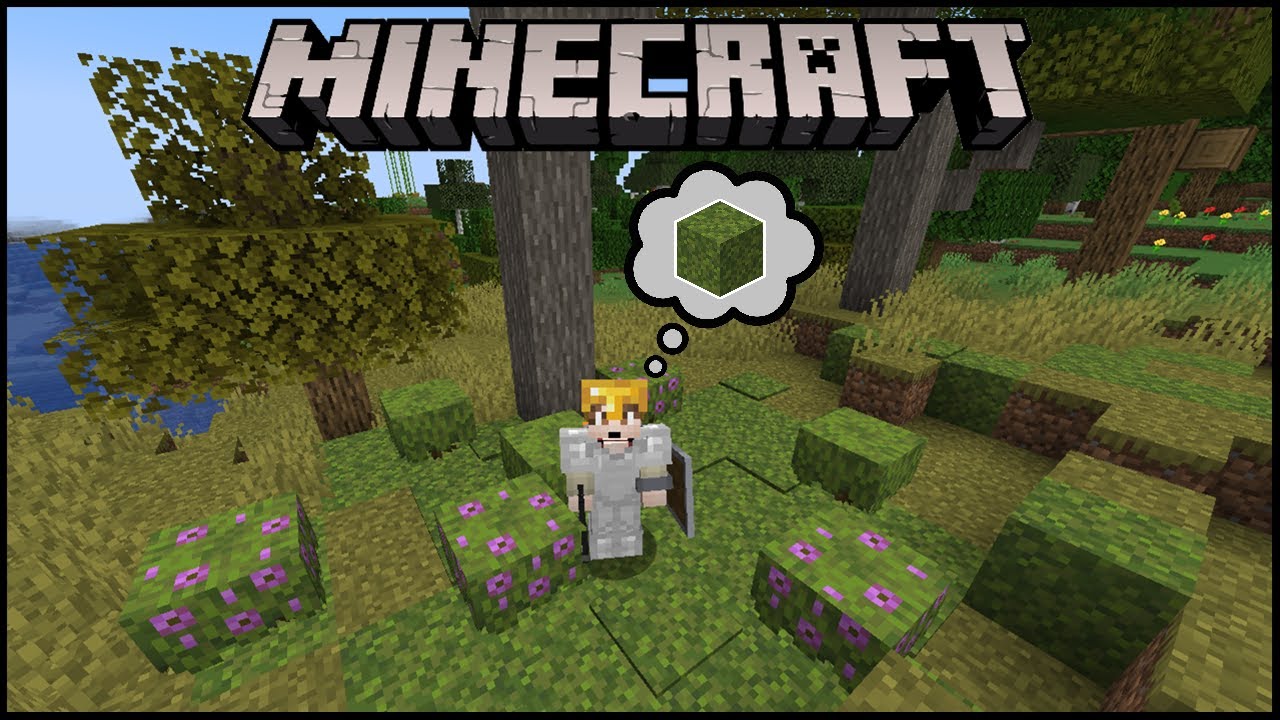Opzoek Naar Een Moss Block 6 Minecraft Smp Youtube