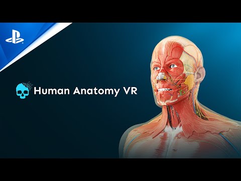 Human Anatomy Vr Ps5 Playstationdb