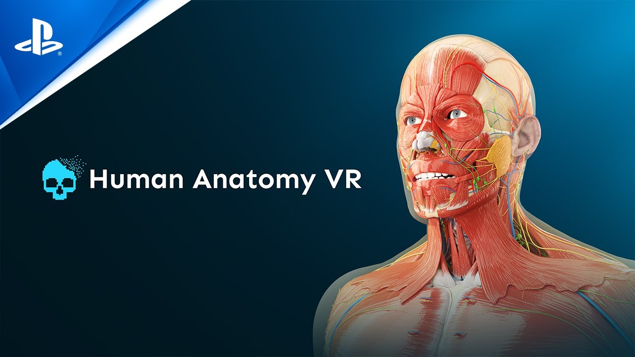 Human Anatomy Vr Launch Trailer Ps Vr2 Games Youtube