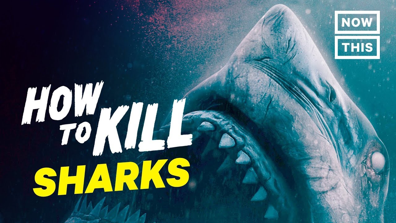 How To Kill Sharks Slash Course Nowthis Nerd Youtube