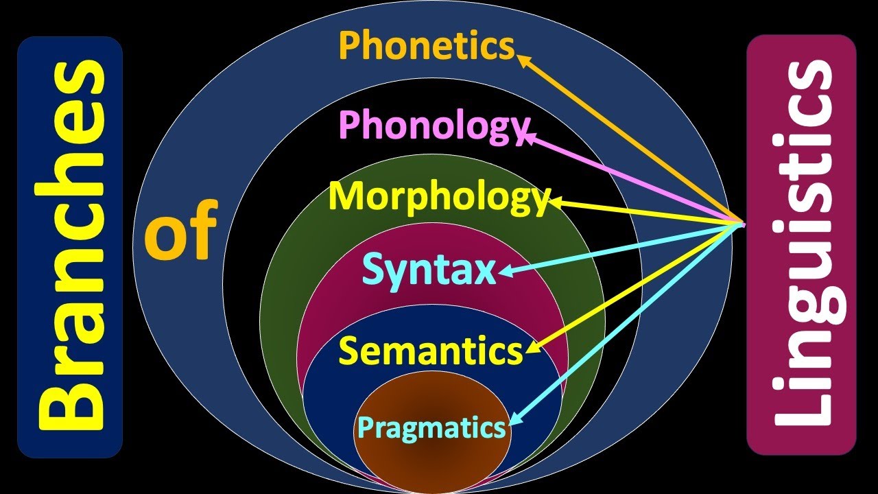 Lecture 26 Branches Of Linguistics Phonetics Phonology Morphology
