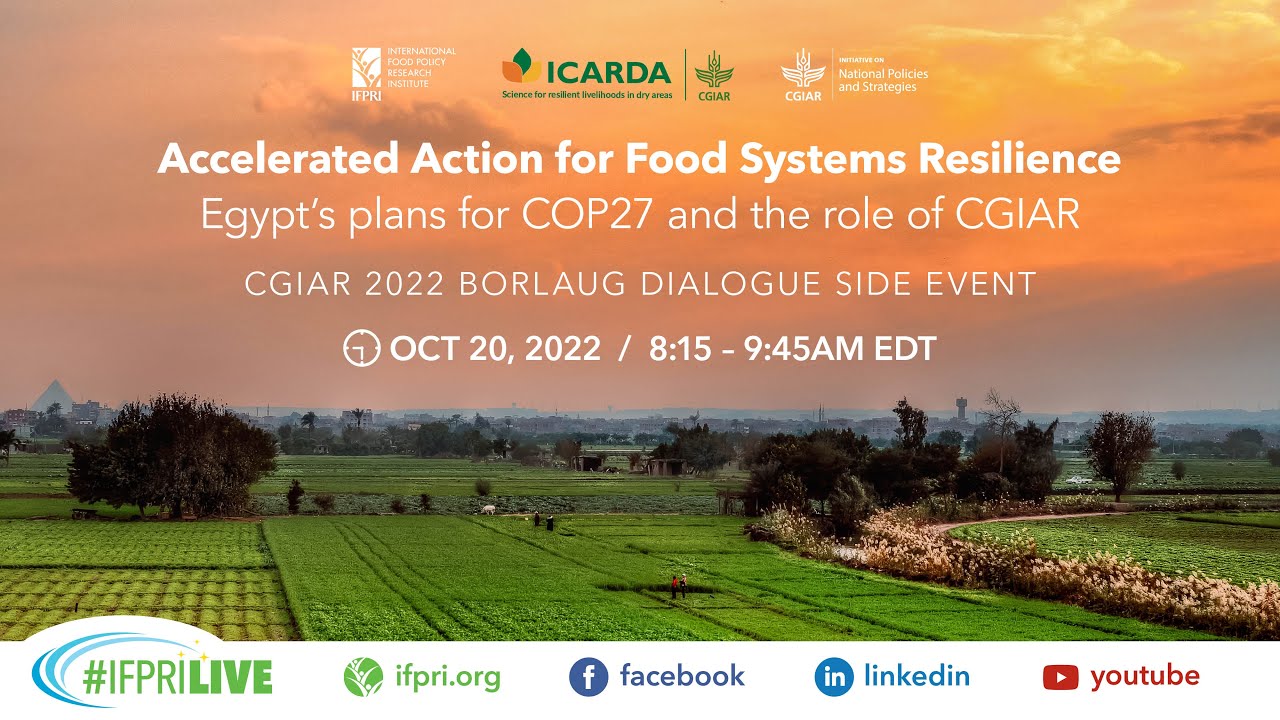 Accelerated Action For Food Systems Resilience Egypt S Plans For Cop27