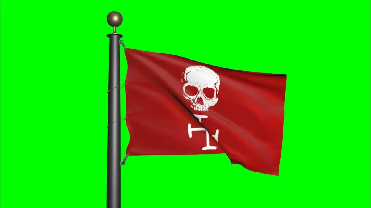 Florida Straits Pirates Flag Youtube